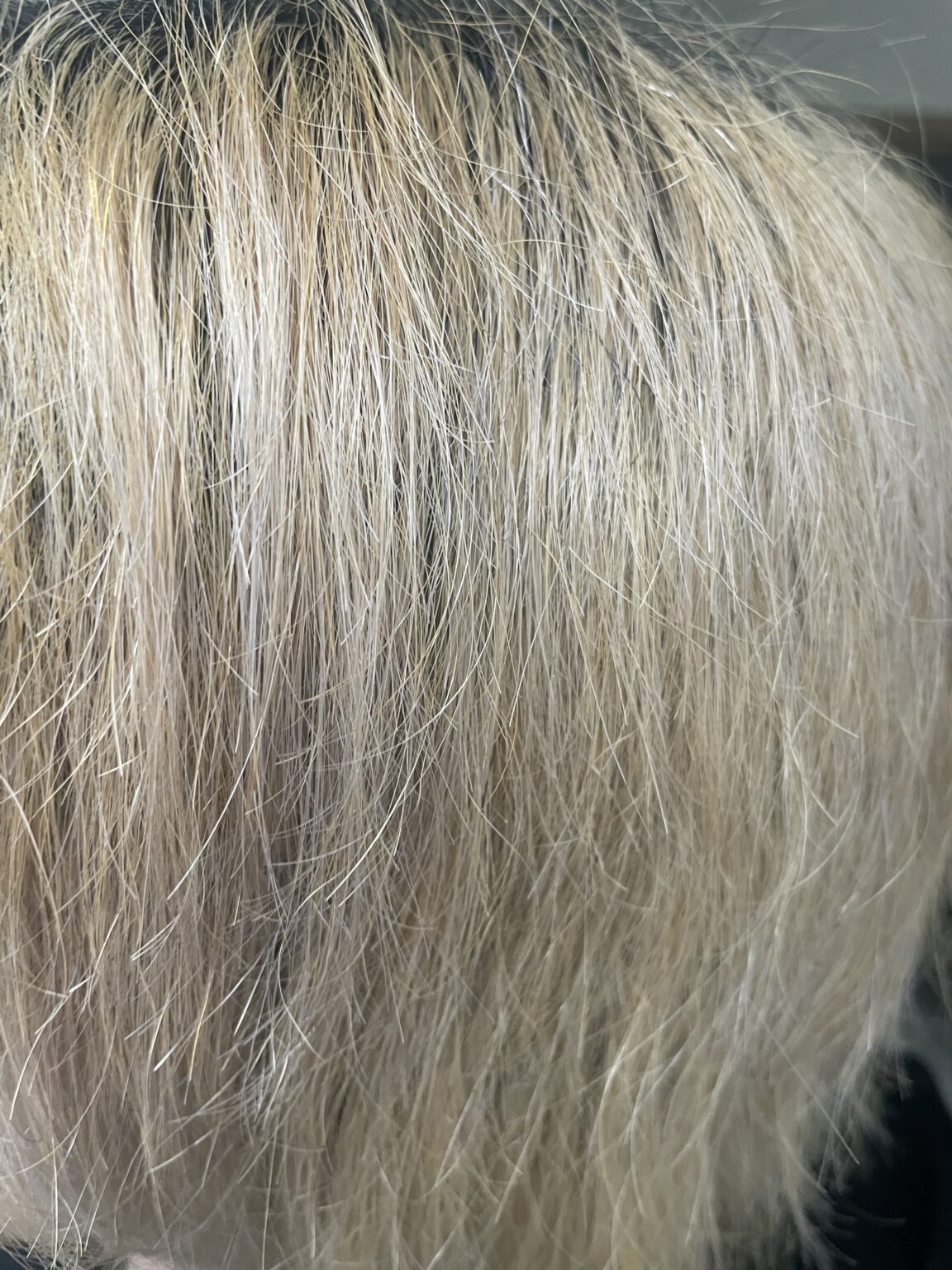 【比較】ヘアタイムセス27Dと107Dを両方買ってみたのでレビュー【バイオプログラミング】 | Nagi Rhythm｜30代独身男性ミニマリストブログ